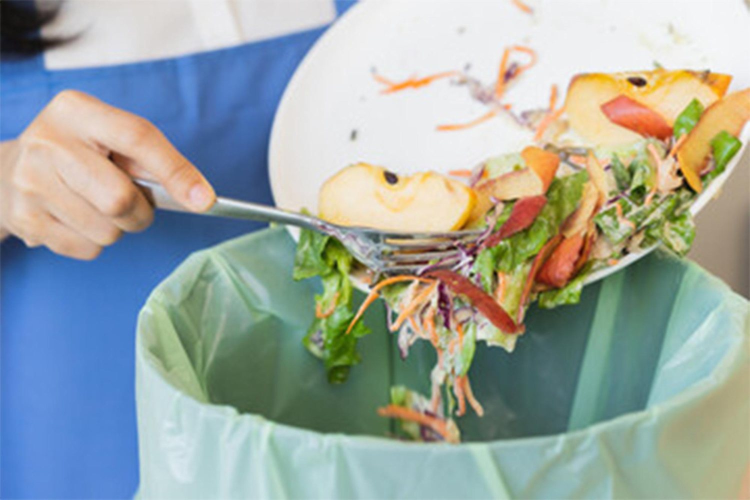 The Shocking Impact of Food Waste in Indonesia: Billions Lost Each Year